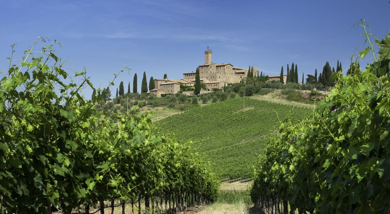 Degustação de vinhos Castello Banfi - ABS Rio
