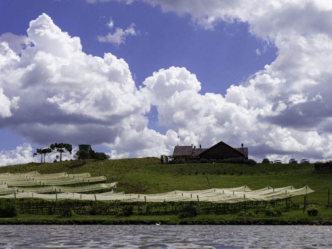 Vinhedos do Monte Agudo – terroir de altitude – Cave D'Or - ABS-Rio