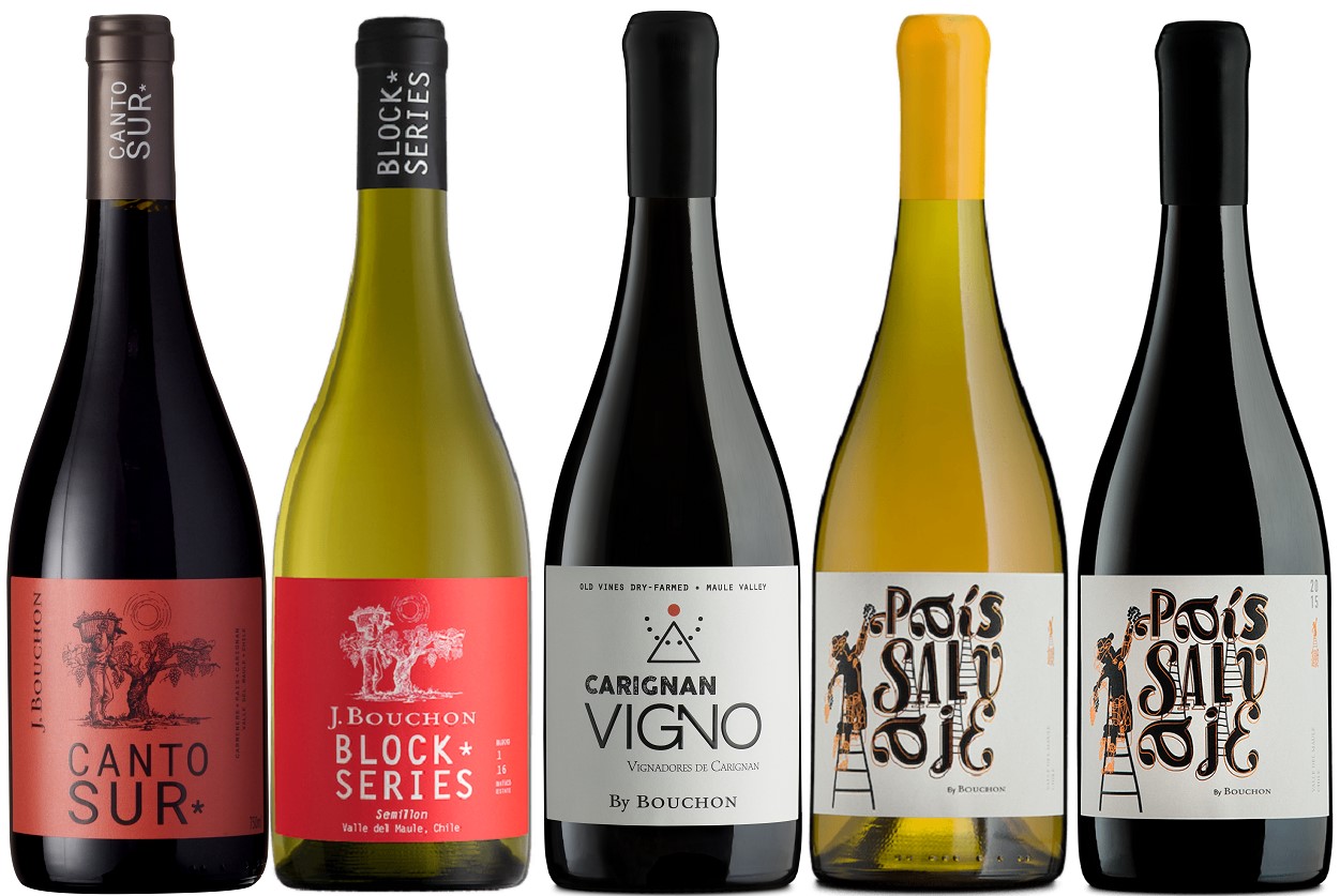 Bouchon Family Wines - WorldWine - ABS Rio