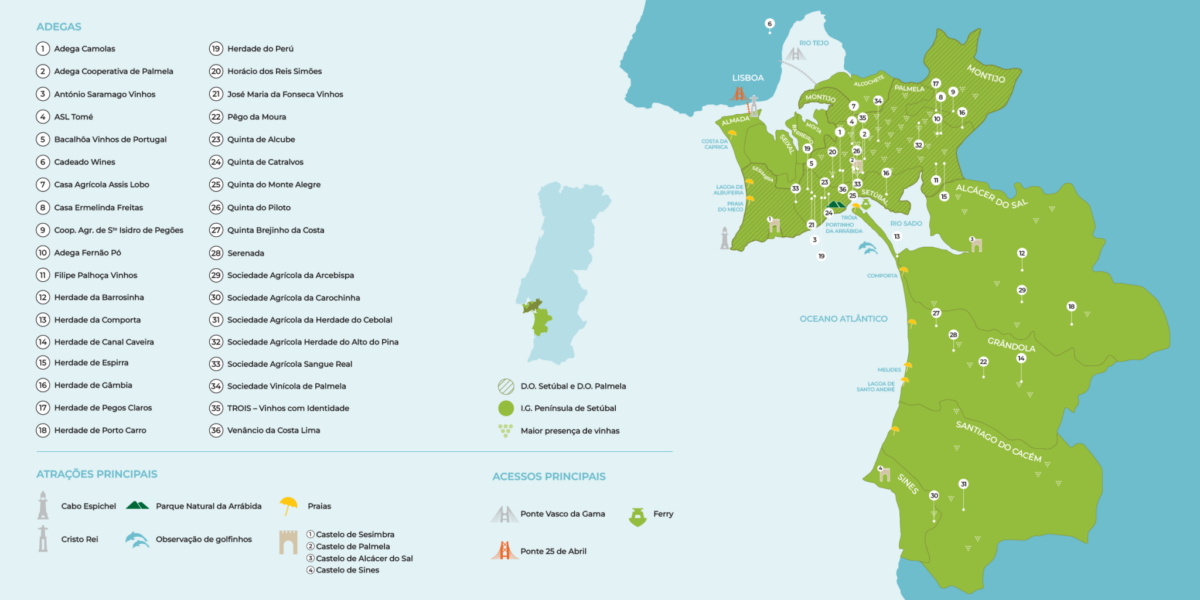 Degustação Setúbal: diversidade e identidade em cada estilo de vinho ...